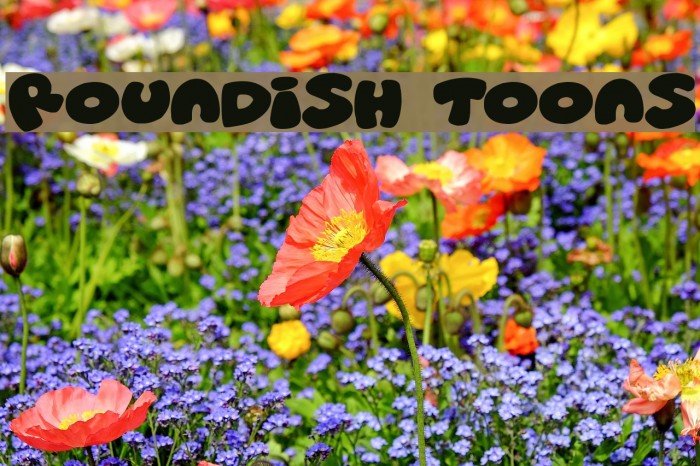 Roundish Toons Font - FFonts.net