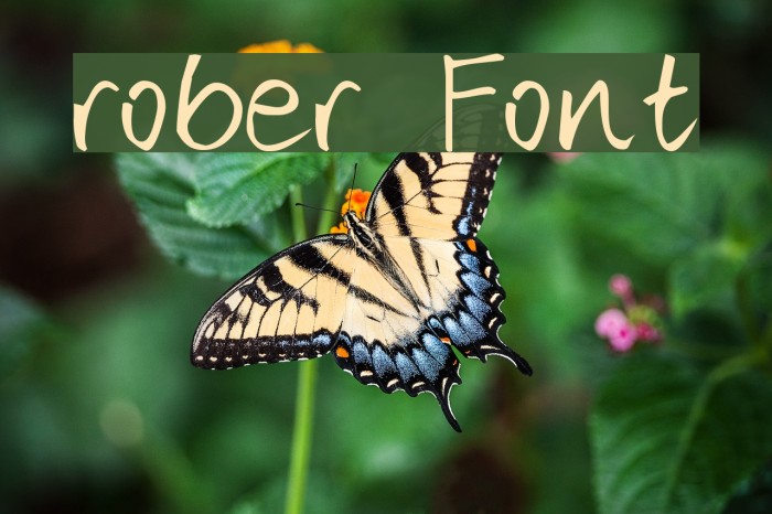 rober Font - FFonts.net