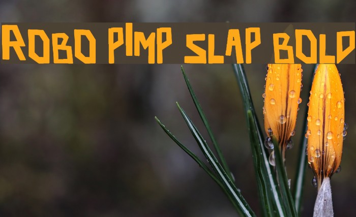 robo pimp slap Bold Font - FFonts.net