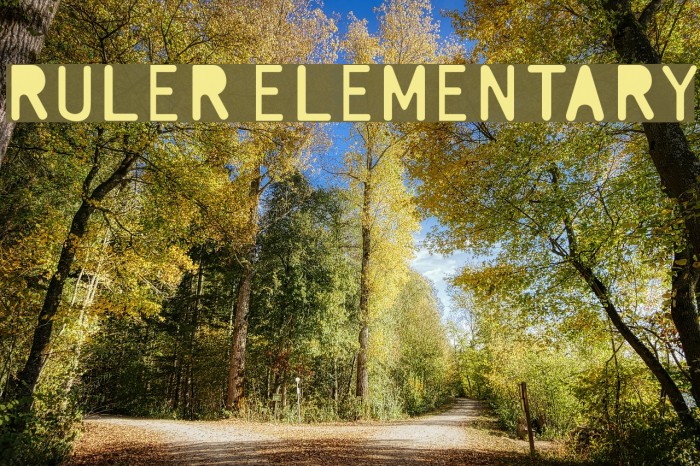 Ruler Elementary Font - FFonts.net