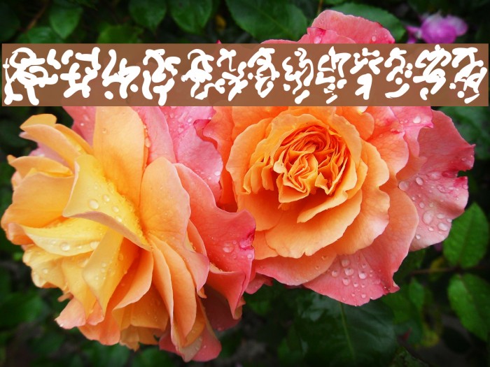 Runes of the Dragon Font - FFonts.net