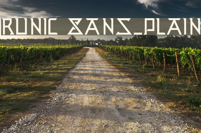 Runic Sans_Plain Font - FFonts.net