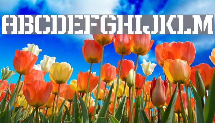 Rush Rush Font - FFonts.net