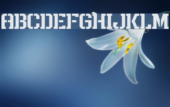 Rush Rush Font - FFonts.net