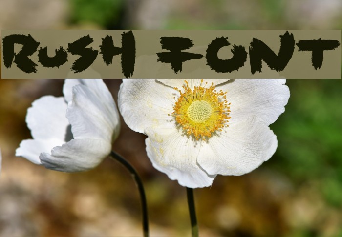 Rush Font - FFonts.net