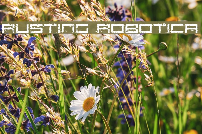 Rusting Robotica Font - FFonts.net