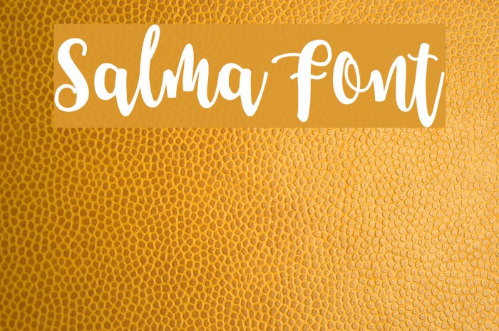 Salma Font - FFonts.net