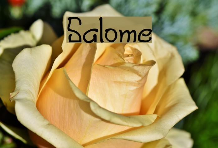 Salome Font - FFonts.net