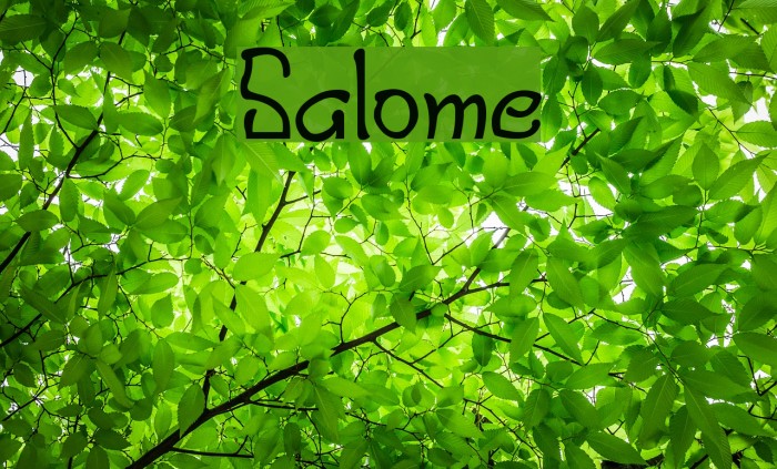 Salome Font - FFonts.net