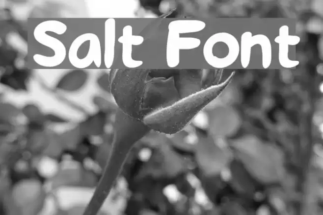Salt Font - Free Download (TTF/OTF) | FFonts.net