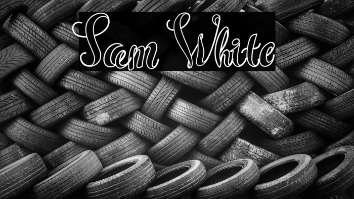 Sam White Font - FFonts.net