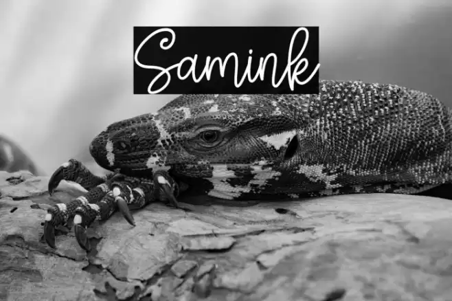 Samink Font - Free Download (TTF/OTF) | FFonts.net