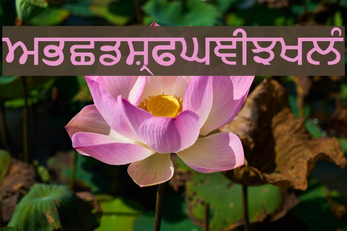 Sandhu01 Font - FFonts.net