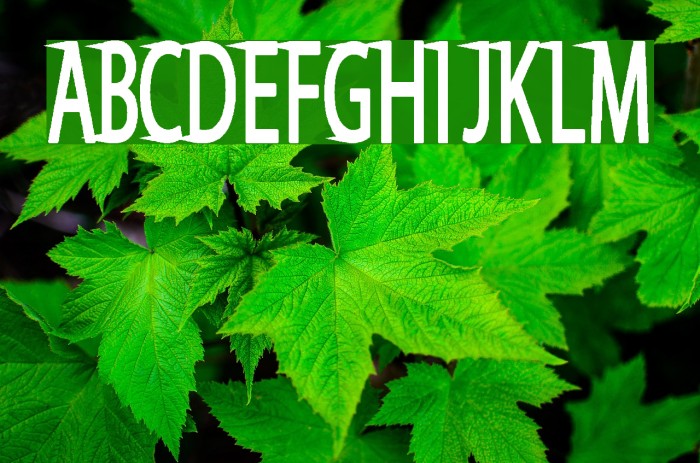 Say Divine Font - FFonts.net