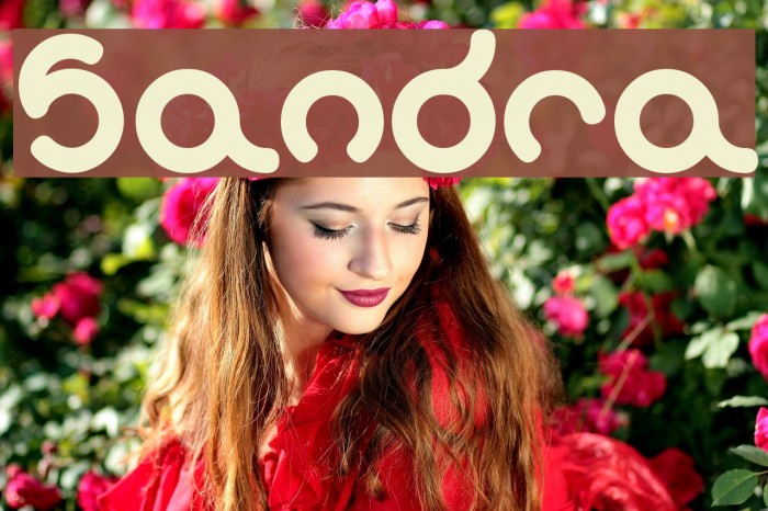 sandra Font - FFonts.net