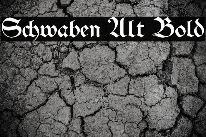 Schwaben Alt Bold Font - FFonts.net
