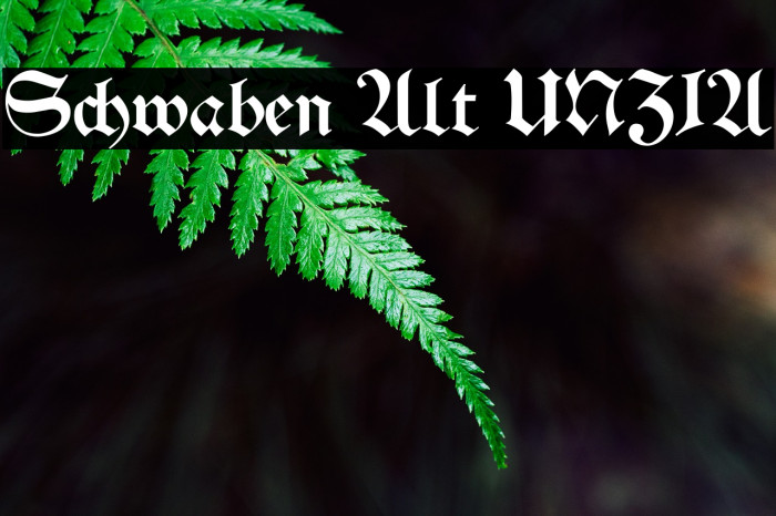 Schwaben Alt UNZ1A Font - FFonts.net