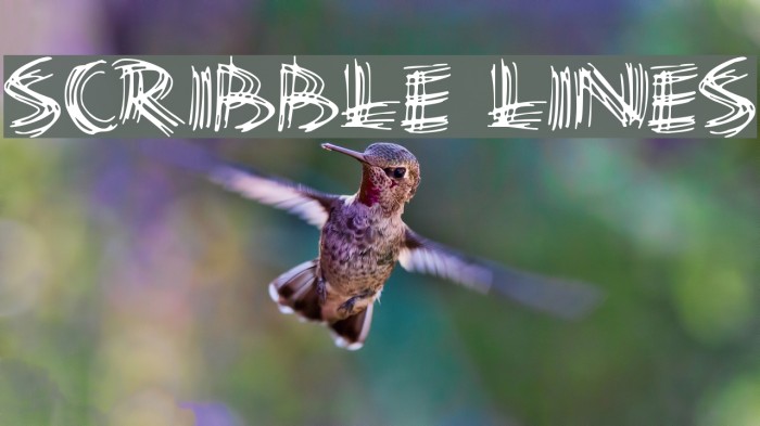 Scribble Lines Font - FFonts.net