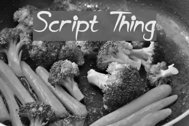 Script Thing Font | Free Download (TTF/OTF) | FFonts.net