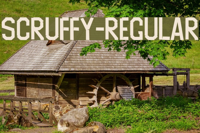 Scruffy-Regular Font - FFonts.net