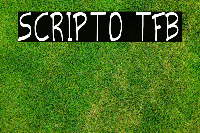 scripto tfb Font - FFonts.net