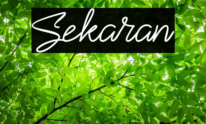 Sekaran Font - FFonts.net
