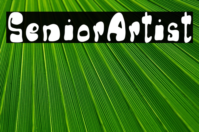 SeniorArtist Font - FFonts.net