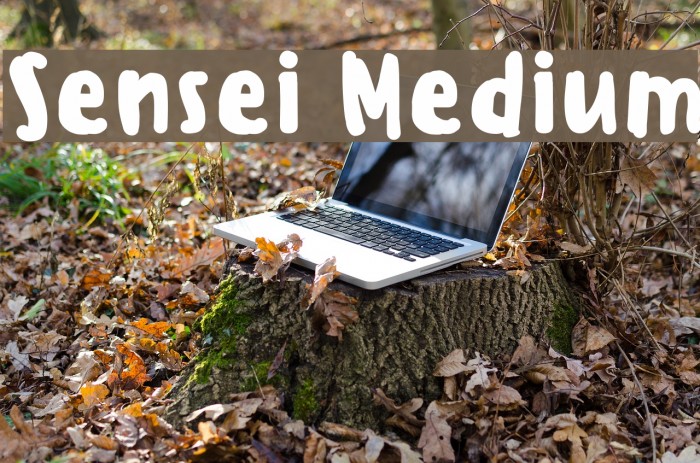 Sensei Medium Font - FFonts.net
