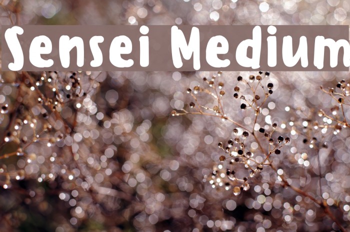 Sensei Medium Font - FFonts.net