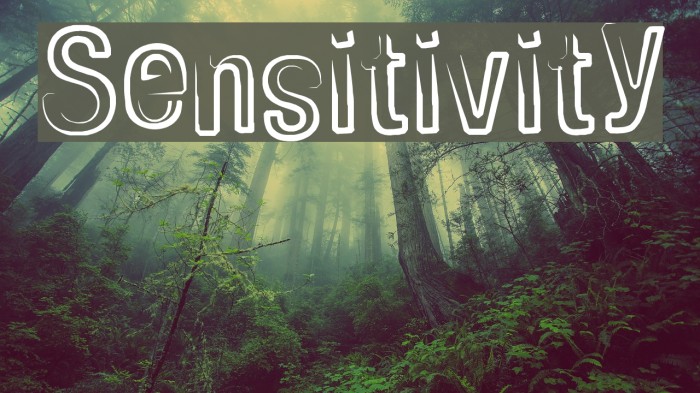 Sensitivity Font - FFonts.net