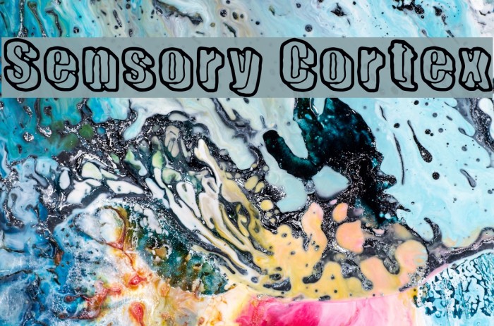 Sensory Cortex Font - FFonts.net