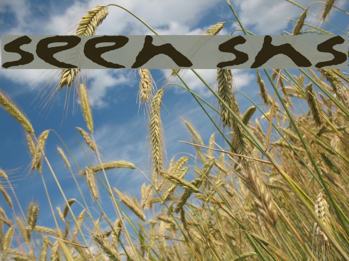 se7en sins Font - FFonts.net