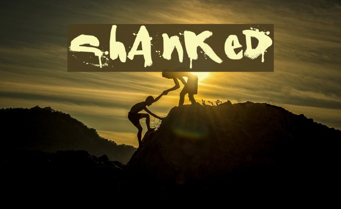 ShAnKed Font - FFonts.net