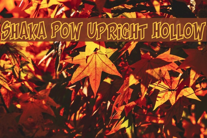 Shaka Pow Upright Hollow Font - FFonts.net