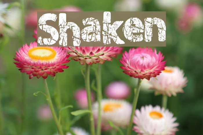 Shaken Font - FFonts.net
