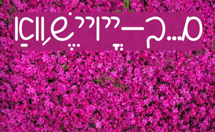 Shalom Script Font - FFonts.net