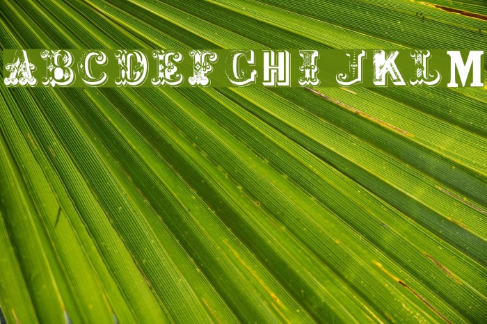 Shambhala Initials Plain Font - FFonts.net