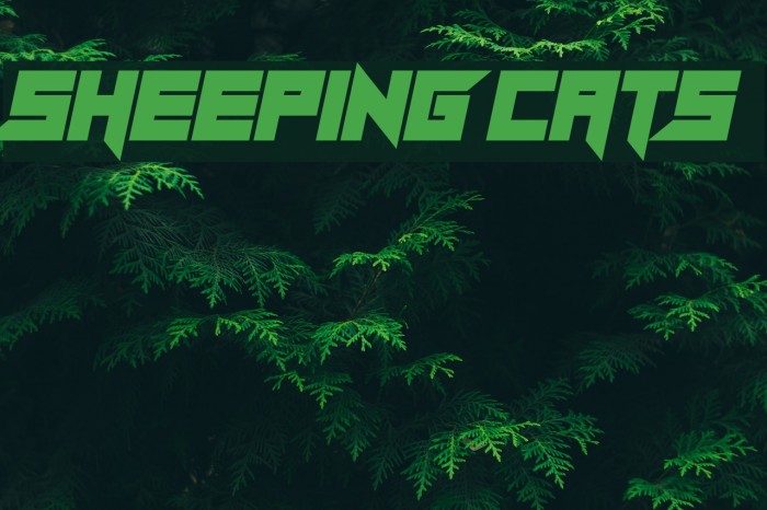 Sheeping Cats Font - FFonts.net
