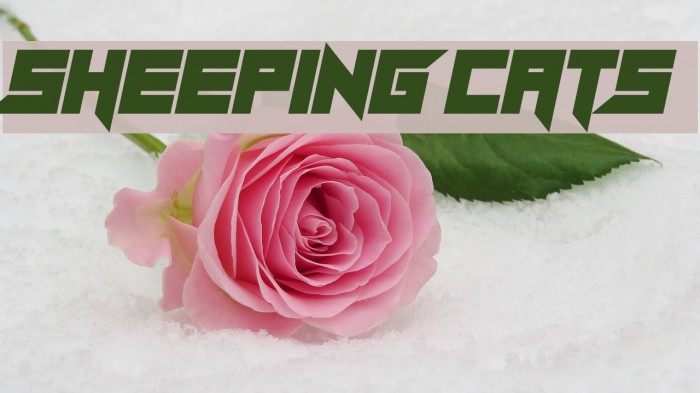 Sheeping Cats Font - FFonts.net