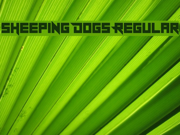 Sheeping Dogs Regular Font - FFonts.net