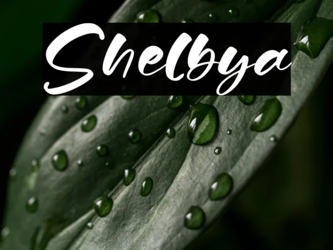 Shelbya Font | Free Download (TTF/OTF) | FFonts.net