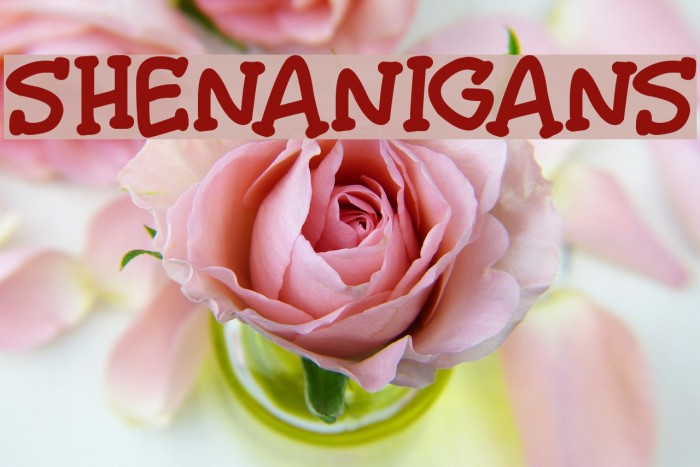 Shenanigans Font - FFonts.net