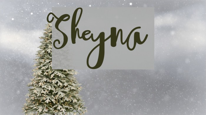 Sheyna Font - FFonts.net