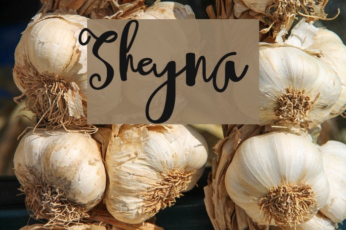 Sheyna Font - FFonts.net