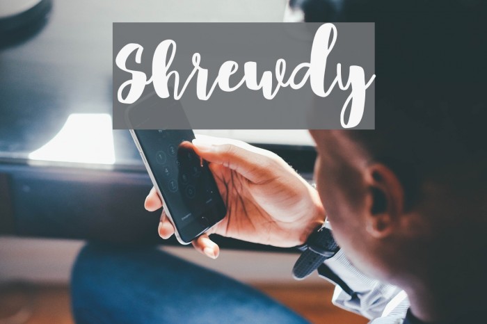 Shrewdy Font - FFonts.net