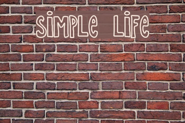 SIMPLE LIFE Font - FFonts.net