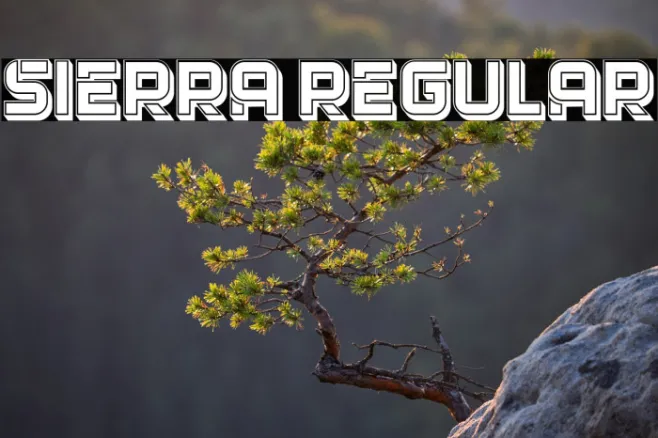 Sierra Regular Font | Free Download (TTF/OTF) | FFonts.net
