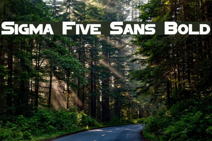 Sigma Five Sans Bold Font - FFonts.net