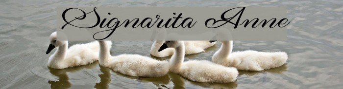 Signarita Anne Font - FFonts.net