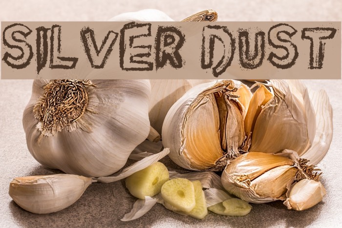 Silver Dust Font - FFonts.net